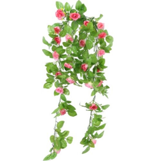 86cm Trailing Spring Rose Bush Pink/Dark Pink – Titleys Flowers ...