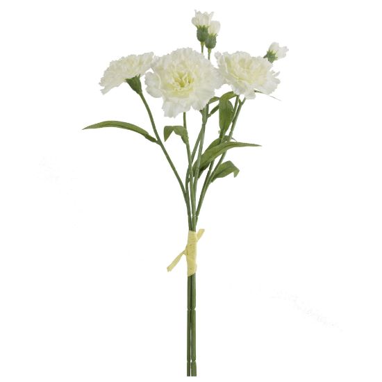 40cm Ivory Carnation Bundle with Raffis Tie (3 Stems) – Titleys Flowers ...