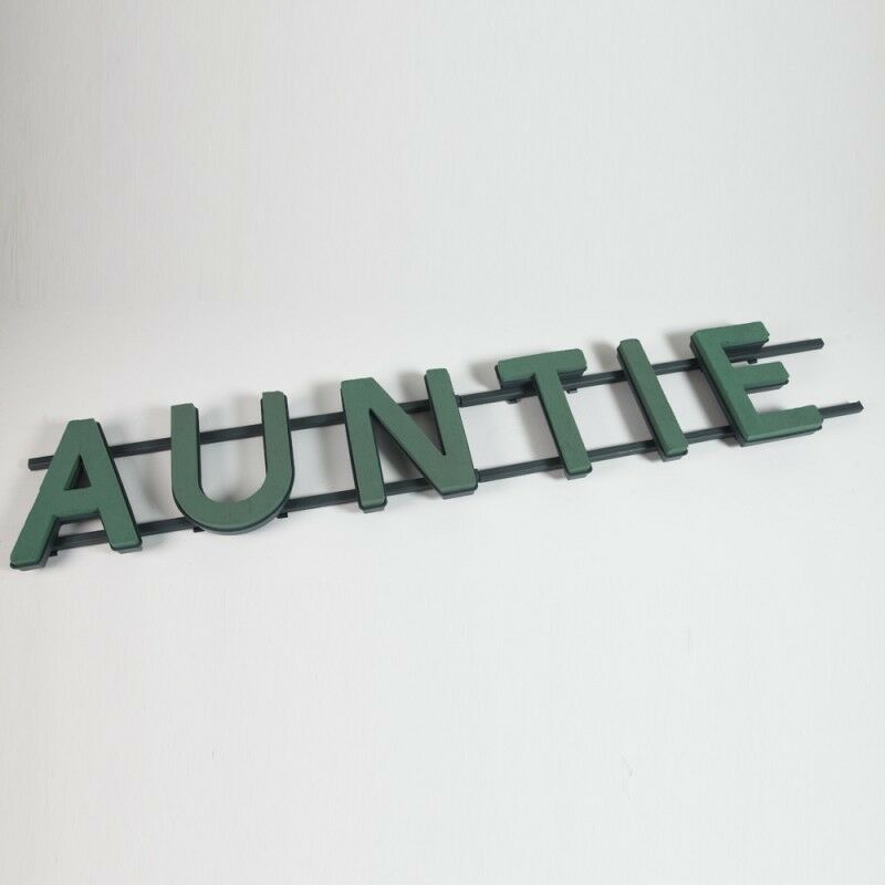 Auntie Plastic Backed Letter Frame - Wet Foam - Val Spicer - LARGE ITE ...